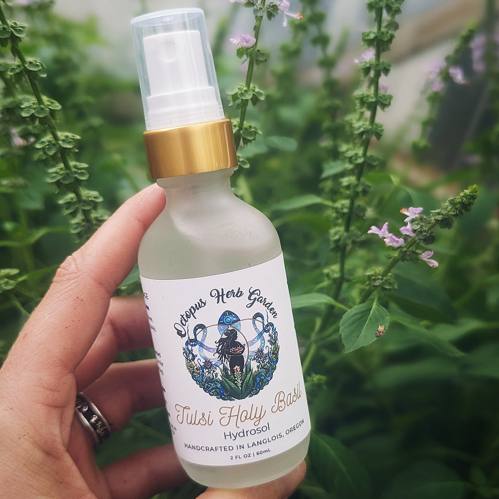 Tulsi Holy Basil Hydrosol Mist – Octopus Herb Garden