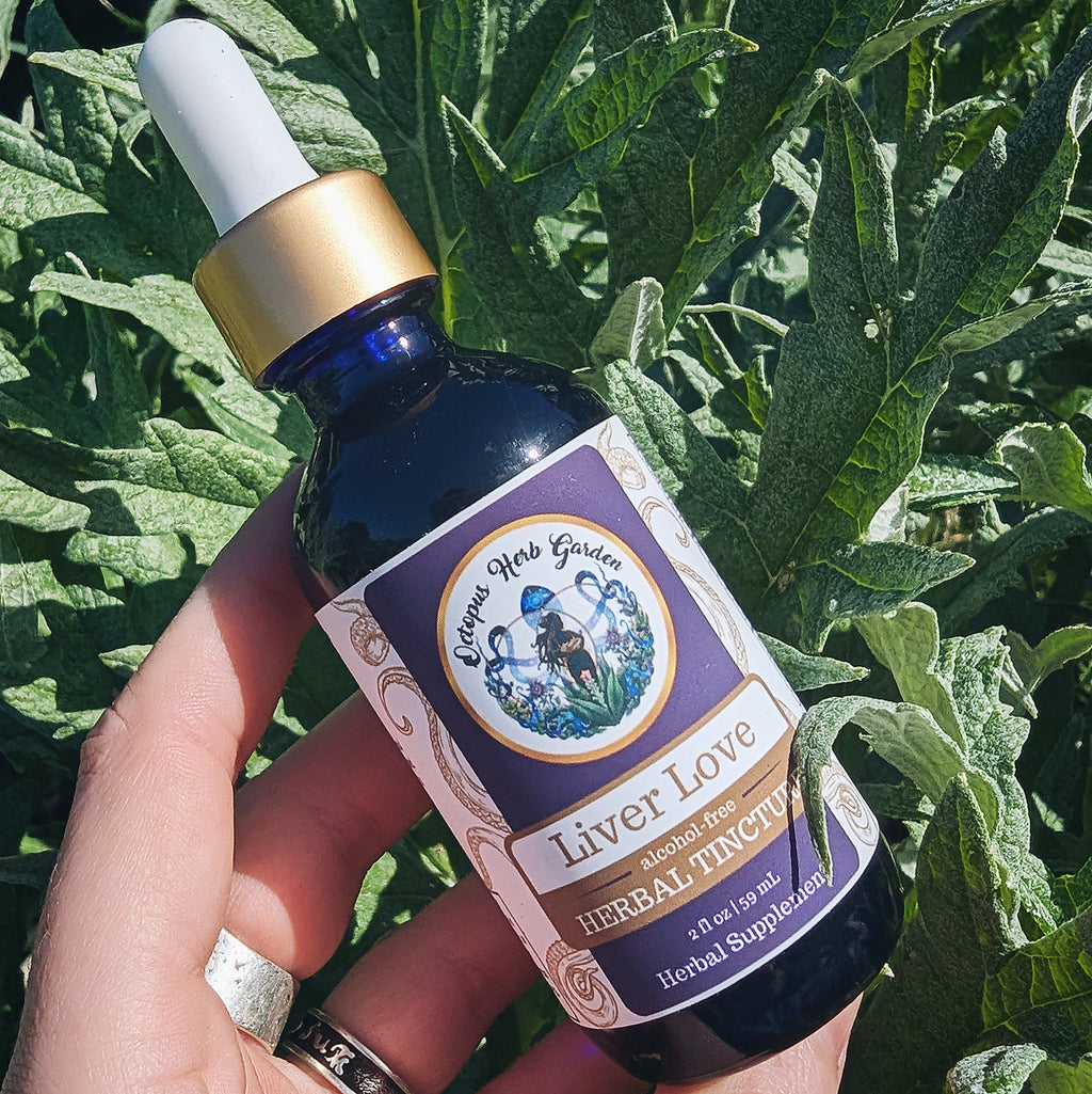 Liver Love Synergy Blend Tincture (Alcohol-Free) – Octopus Herb Garden