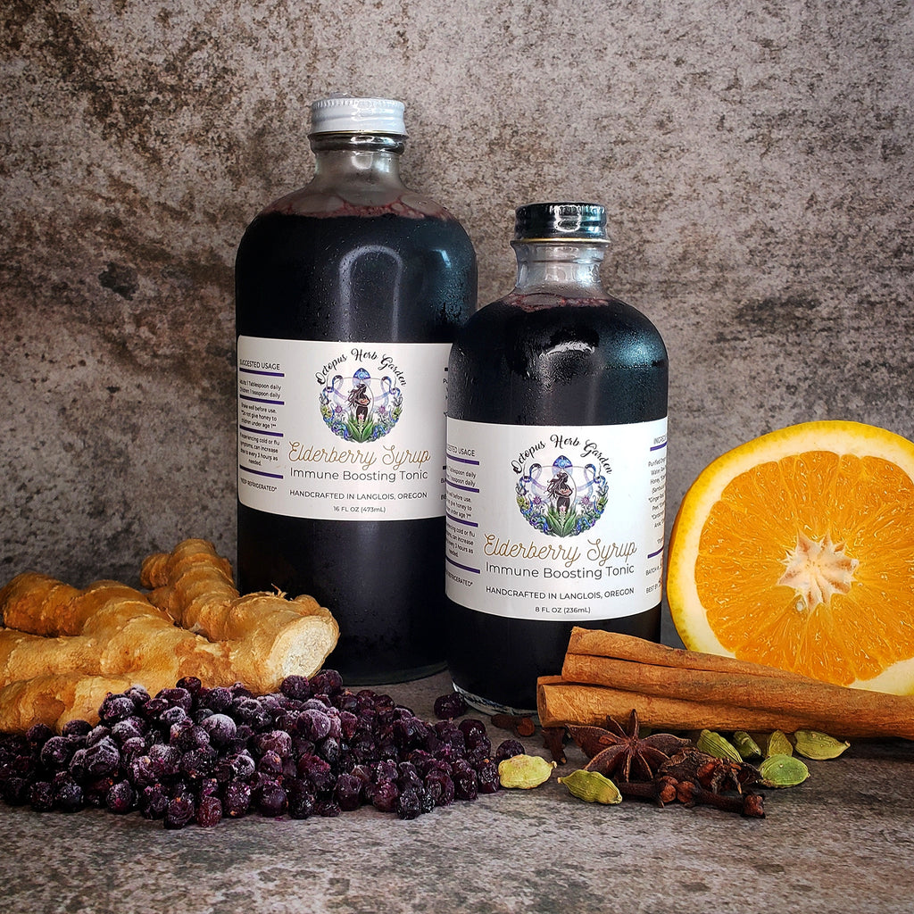 Elderberry Syrup – Octopus Herb Garden